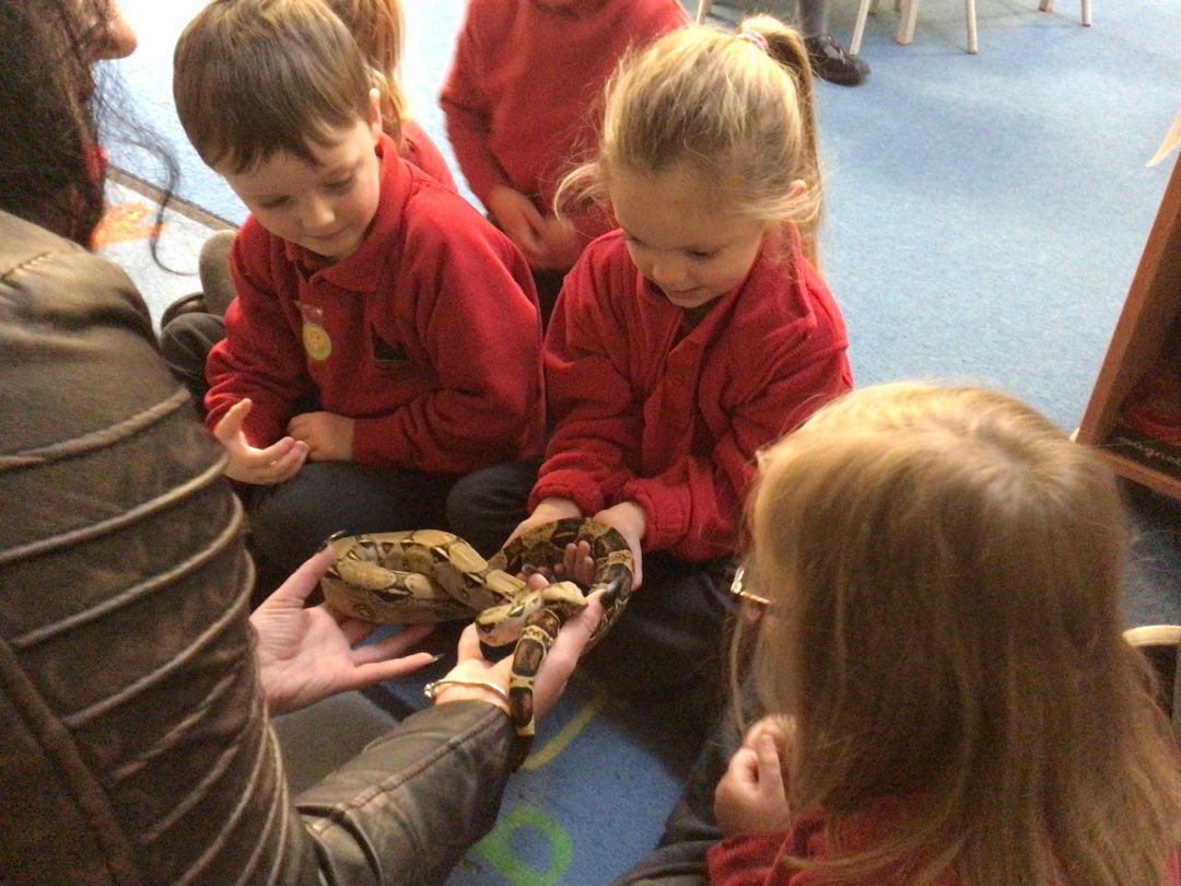 Narberth School – Just another WordPress site